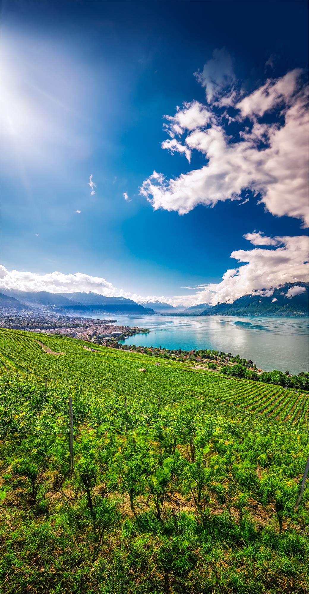 Contact - Agences Furer & Co